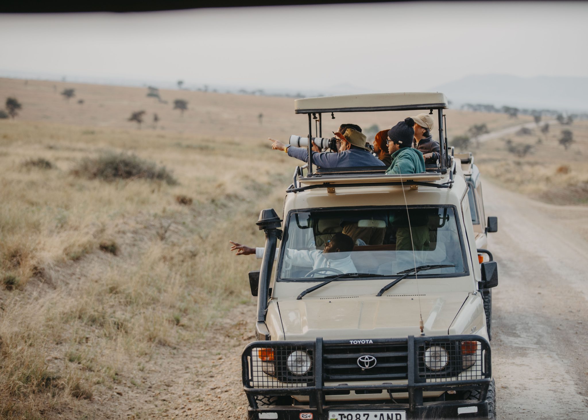 What to Expect on a Safari in Tanzania - Mj Safaris & Adventure